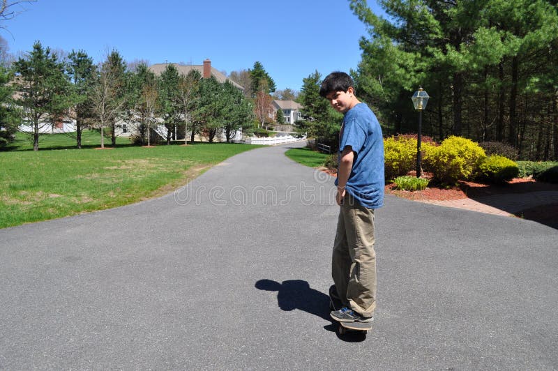 Ready to Walk stock photo. Image of bushes, diversity - 19439362