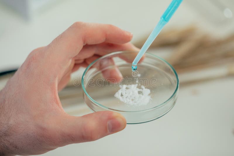 Powder in petri dish stock photo. Image of magnifier - 109987198