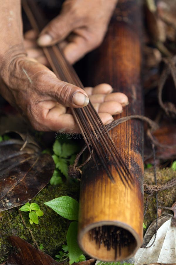 Real Amazonian Darts stock image. Image of dart, hands - 61155619