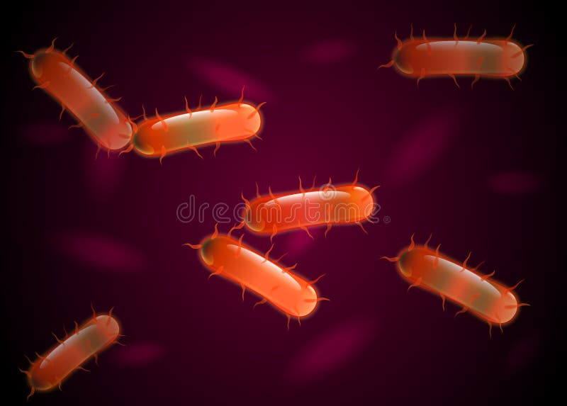 Real Bacteria Under Microscope in Orange. Vector. Stock Vector ...