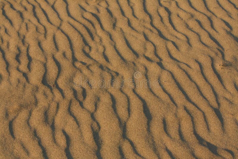Real beach sand texture stock image. Image of sandy - 120458929