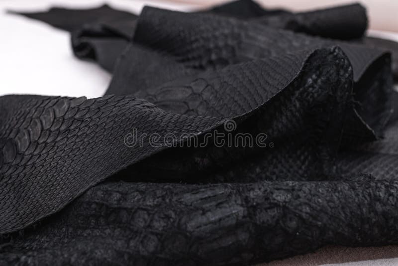 Real Black Snakeskin Python Leather. Stock Image - Image of detail ...