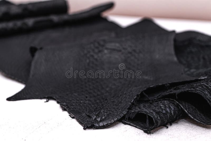 Real Black Snakeskin Python Leather. Stock Image - Image of luxury ...