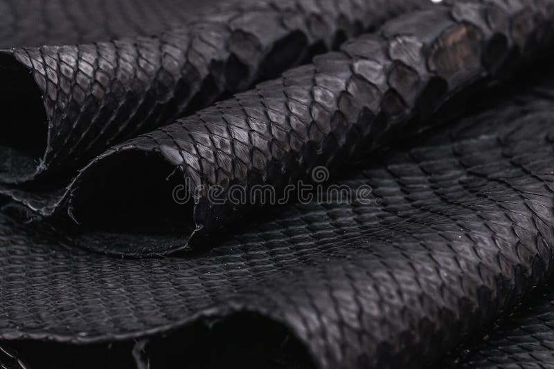 Real Black Snakeskin Python Leather. Stock Photo - Image of design ...