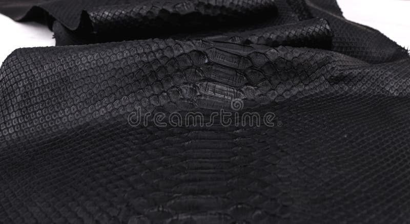 Real Black Snakeskin Python Leather. Stock Photo - Image of leather ...