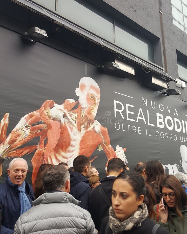 Real body editorial stock photo. Image of bellissima - 133865803