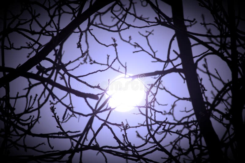 Real bright full moon stock image. Image of black, twilight - 27509767