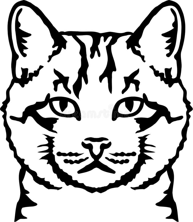 Real cat head stock vector. Illustration of kitten, tiger - 84888507