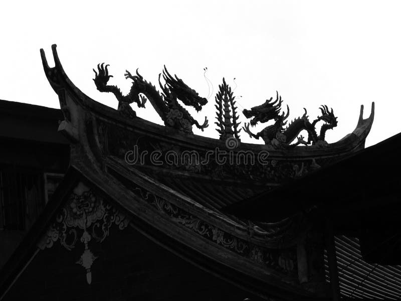 Real Chinese Dragon s tail stock photo. Image of animal - 385770