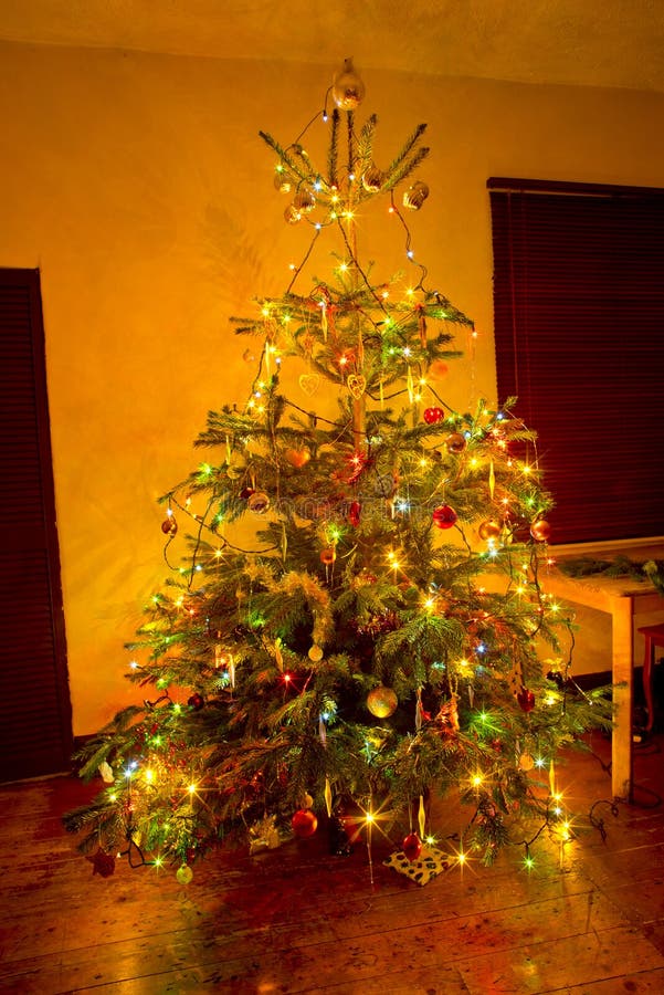 12,266 Real Christmas Tree Stock Photos - Free & Royalty-Free Stock ...