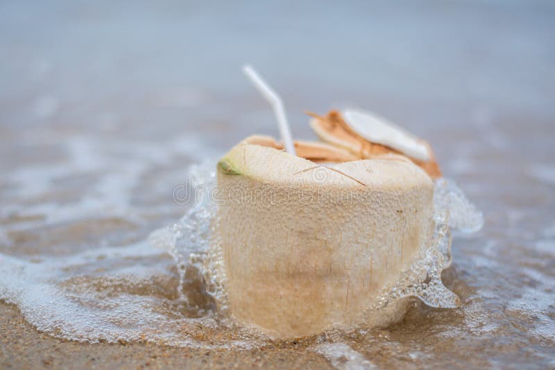 Real coconut water stock photo. Image of healthy, tropical - 268828696