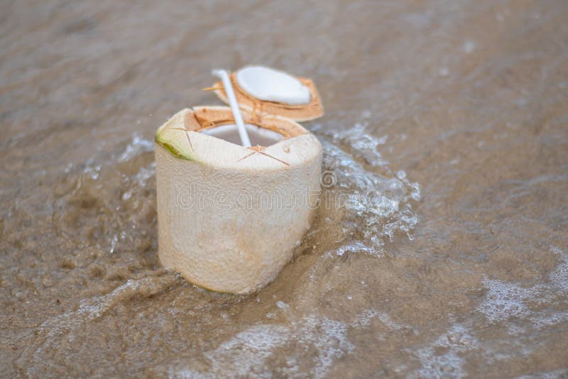Real coconut water stock image. Image of drink, healthy - 268828689