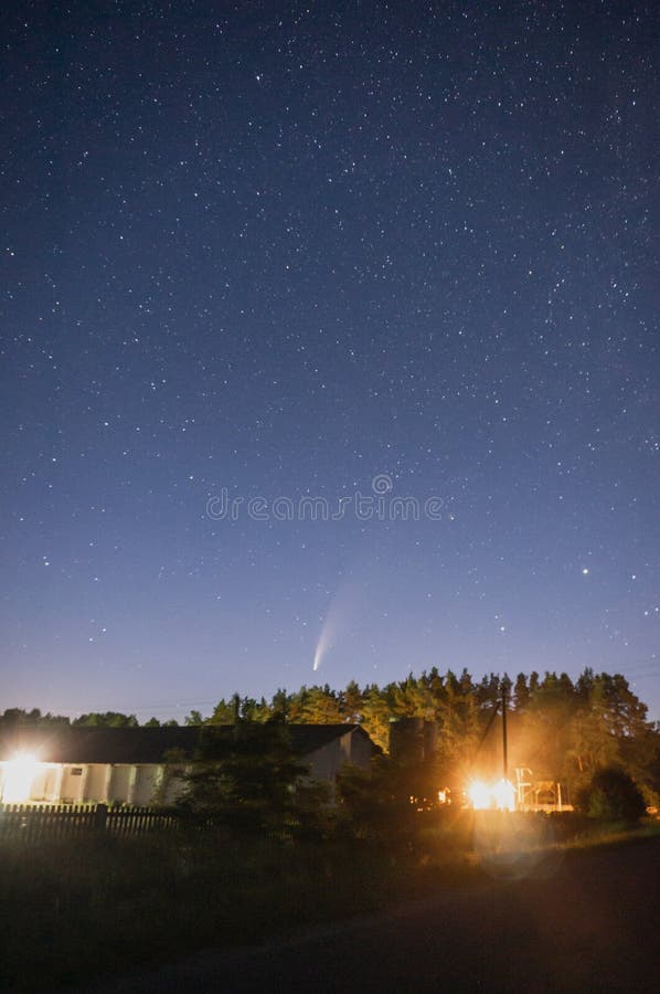 Real Comet Neowise Over the Forest, Comet in the Starry Sky, Stock ...