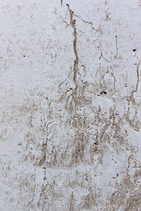Real Concrete Texture Surface, Exposed Concrete Flat Surface Wall ...