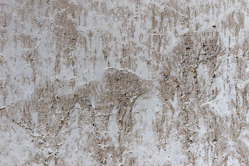 Real Concrete Texture Surface, Exposed Concrete Flat Surface Wall ...