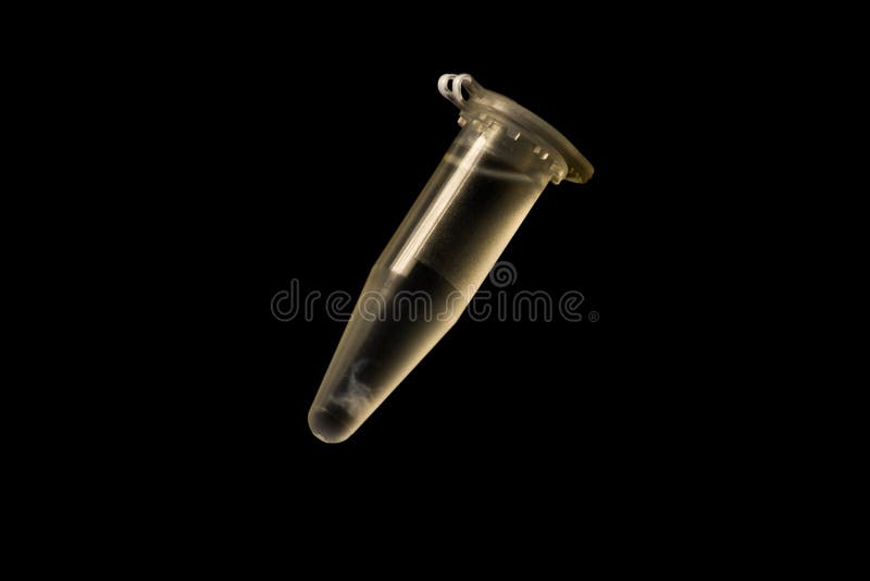 Real DNA stock image. Image of reagent, real, precipitate - 8906919