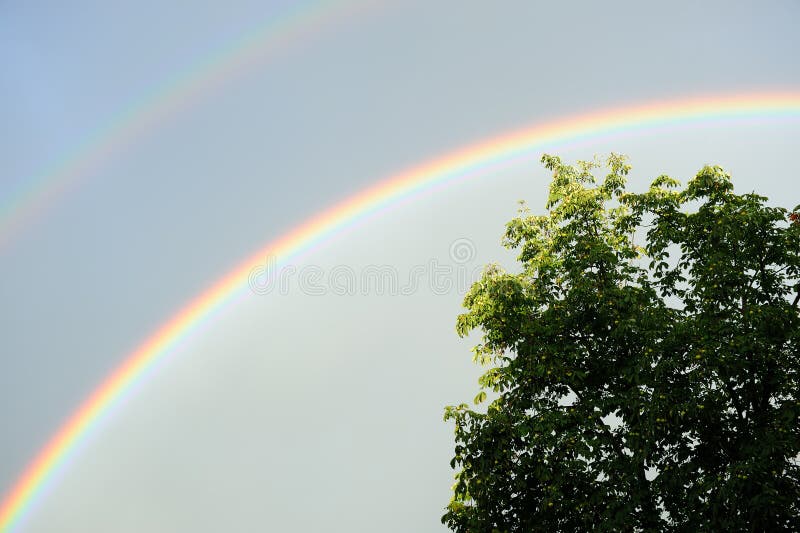 Real Double Rainbow with Tree Stock Photo - Image of abstract, light ...