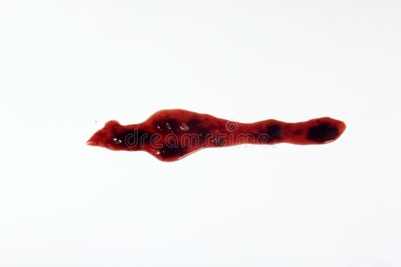 Real Dripping Blood Isolated on White Stock Image - Image of drip, wall ...