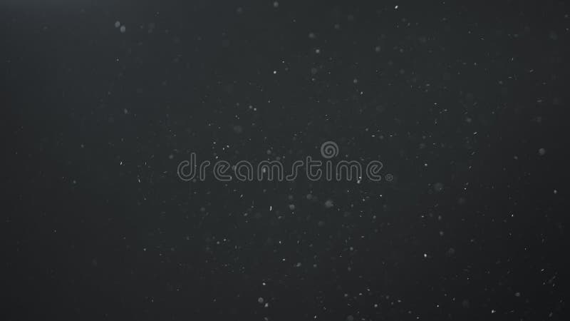 Real Dust Particles in Air with Back Light Over Black Background Stock ...