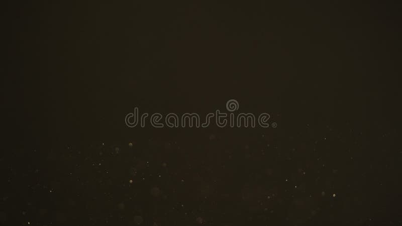 Real Dust Particles in Air with Back Light Over Black Background Stock ...