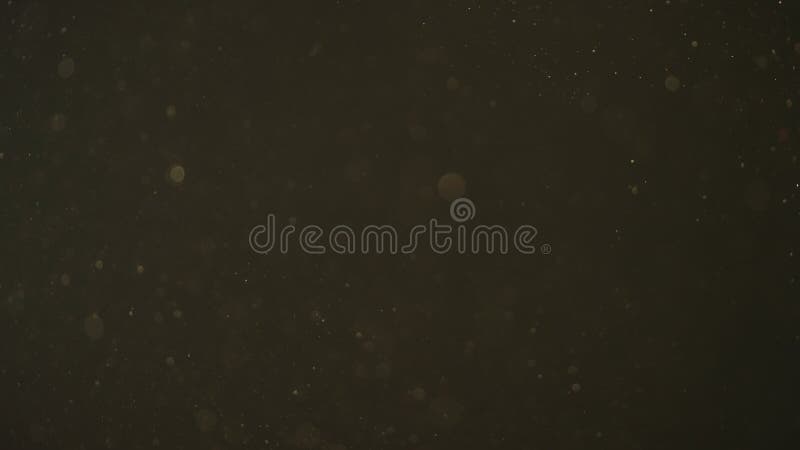 Real Dust Particles in Air with Back Light Over Black Background Stock ...