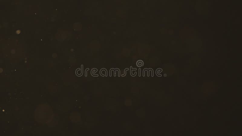 Real Dust Particles Floating Over Black Background Stock Footage ...