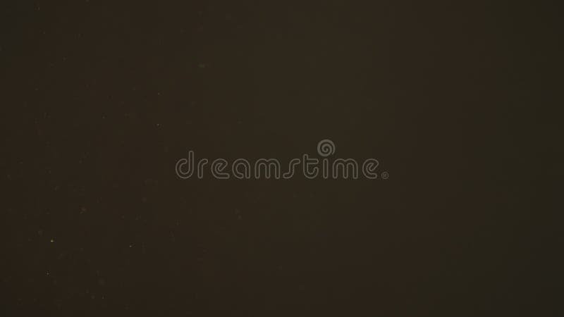 Real Dust Particles Floating Over Black Background Stock Video - Video ...