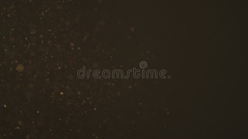 Real Dust Particles Floating Over Black Background Stock Footage ...