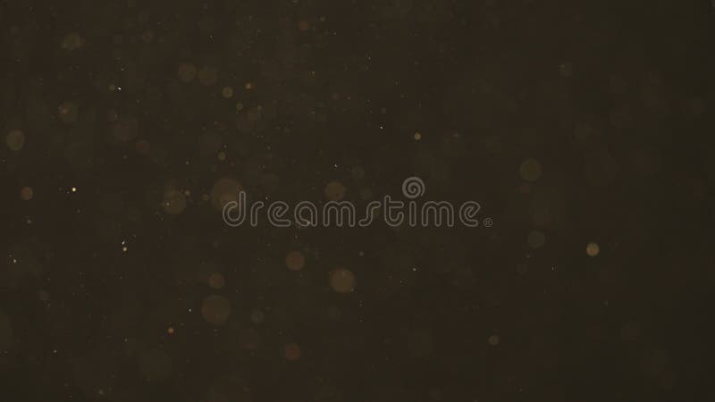 Real Dust Particles Floating Over Black Background Stock Image - Image ...