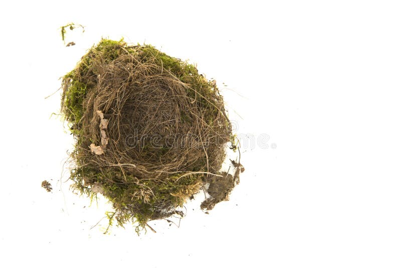 149 Real Bird Nest Top View Stock Photos - Free & Royalty-Free Stock ...