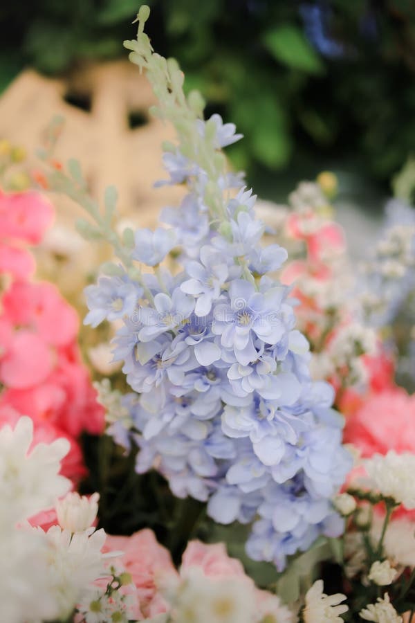 Real and Fake Flowers Used for Wedding Decorations Stock Photo - Image ...