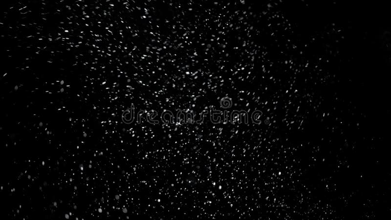 Real Falling Snow on a Black Background Stock Image - Image of ...