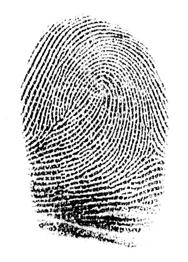 Real fingerprint stock image. Image of lined, natural - 36032579