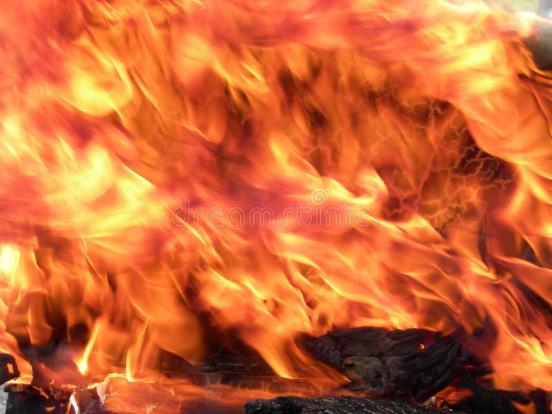 Real fire stock photo. Image of burning, texture, fire - 2835454