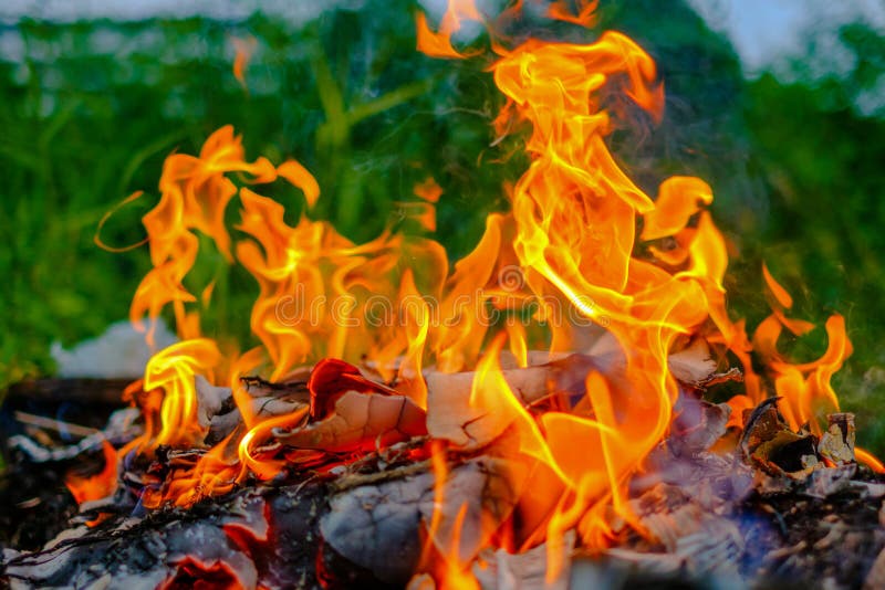 Real hot fire stock image. Image of energy, element - 255450291
