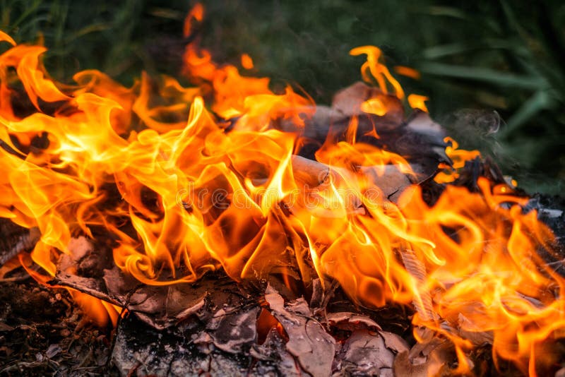 Real hot fire stock image. Image of energy, element - 255450291