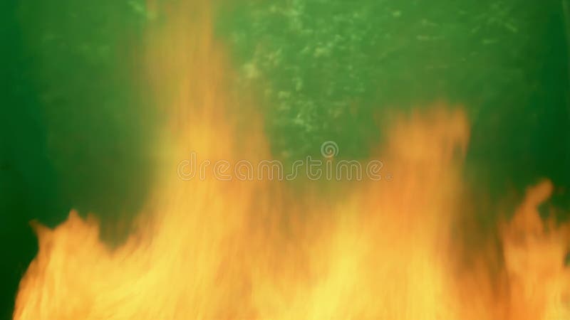 Fire Burning with Green Screen Background for Compositing Stock Video ...
