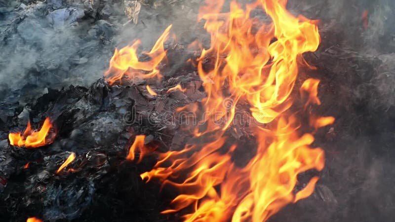 Real Fire Burning with Black Smoke on Black Background. Stock Footage ...