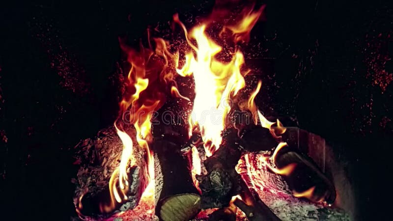 Real Fire Flames Burn Movement with Branches of Wood, Fireplace in Slow ...