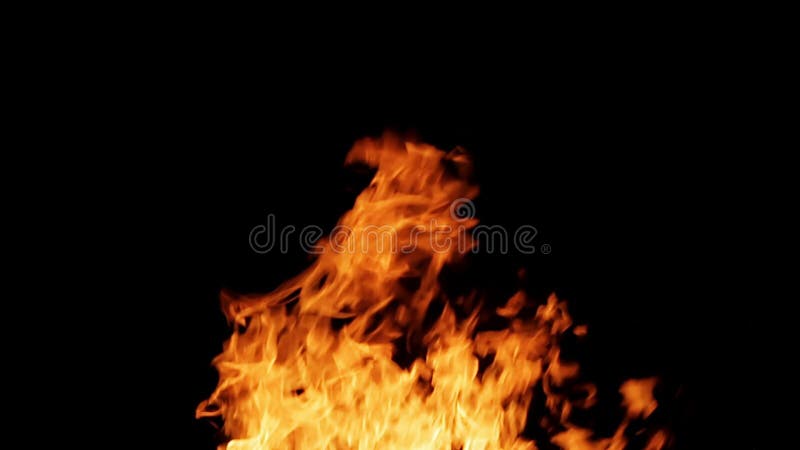 Real Fire Isolated on Black Background Stock Footage - Video of blazing ...