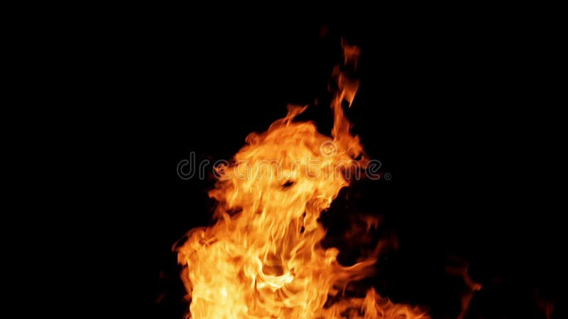 Real Fire Isolated on Black Background Stock Footage - Video of blazing ...