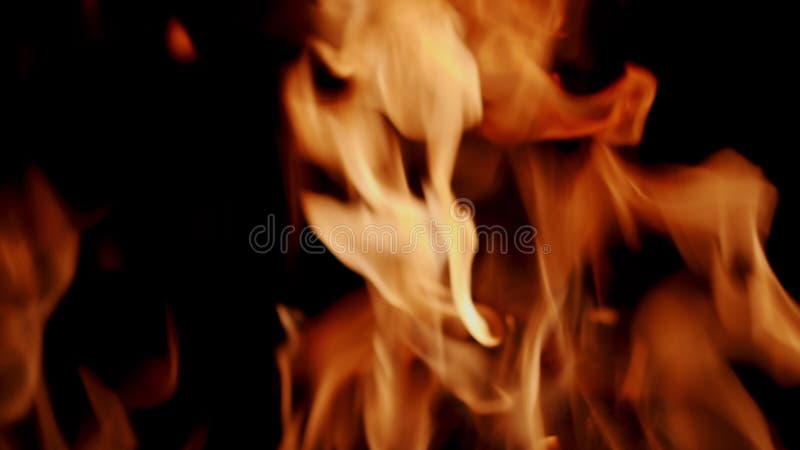 Real Flames on Black Background Real Fire. Bonfire Stock Footage ...