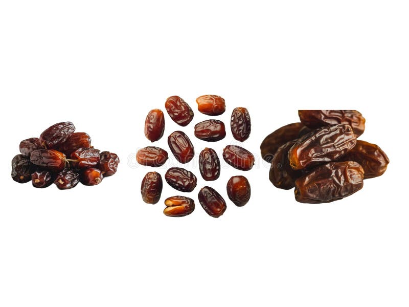 Real Fresh Dates Bundle for Food and Design Projects Stock Vector ...