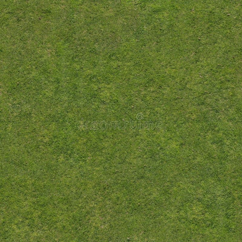 Real Grass stock photo. Image of texture, green, plant - 14504460