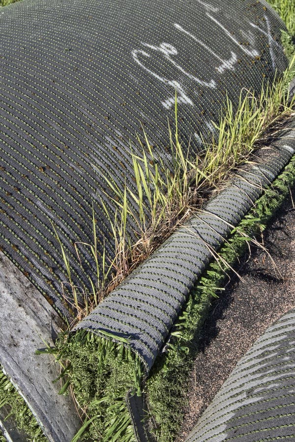 Real Grass Growing on Rolls of Old Artificial Grass Outdoors Stock ...
