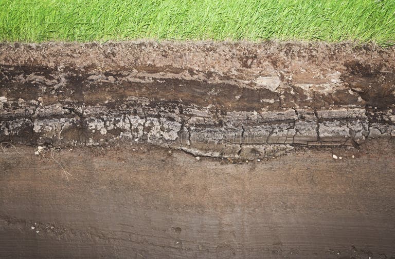 Real Grass and Several Underground Soil Layers Stock Image - Image of ...