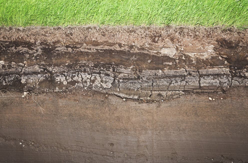 Real Grass and Several Underground Soil Layers Stock Image - Image of ...