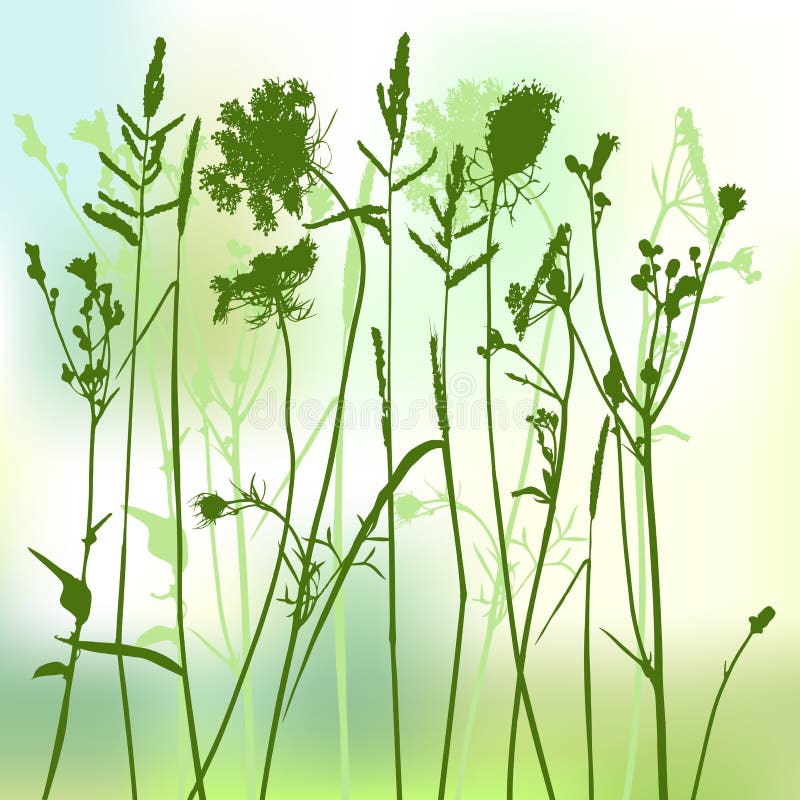 Real Grass Silhouette - Vector Stock Vector - Illustration of grass ...