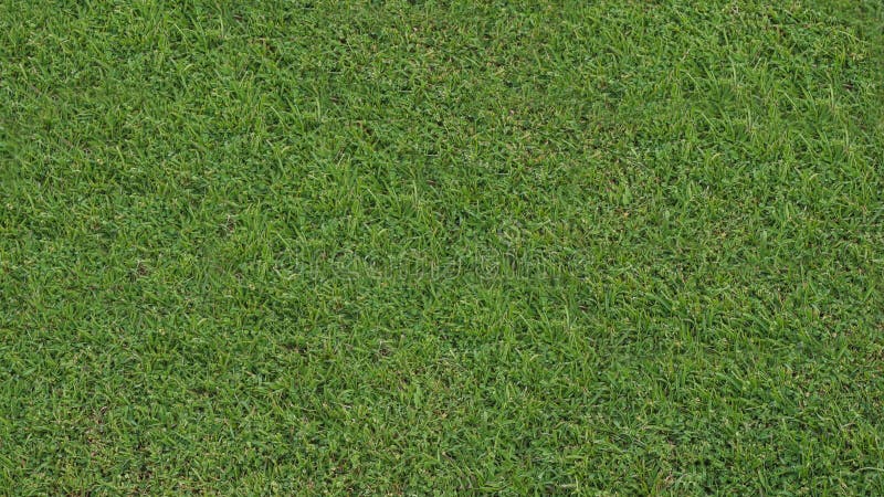 4,847 Prairie Grass Texture Stock Photos - Free & Royalty-Free Stock ...