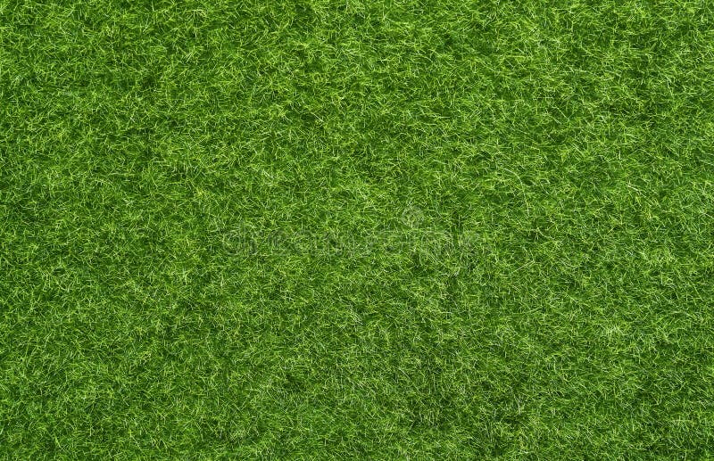 Real Grass And Several Underground Soil Layers Stock Image - Image of ...